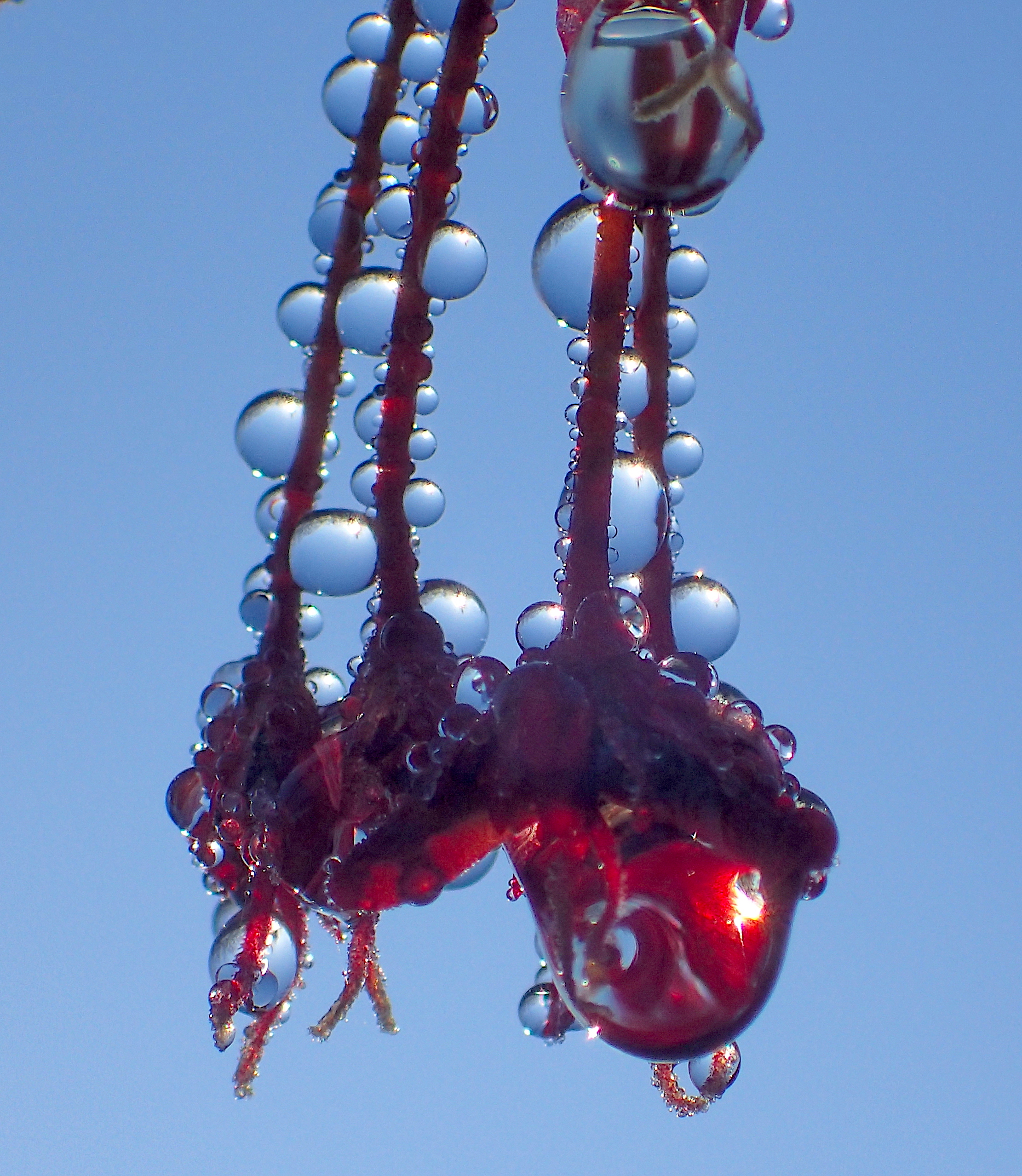 Falling in Love with the Natural World – PushUP24