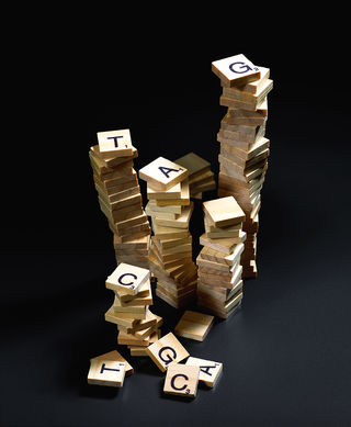 The Puzzle of the Unbalanced Mind | Psychology Today Canada