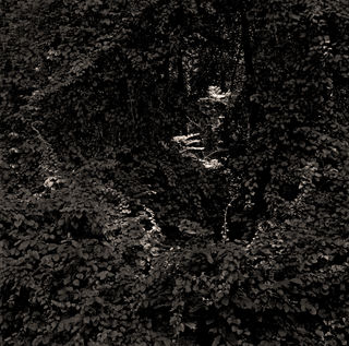 The Shape of the Vessel: A Journal of Beauty and Growth | Psychology Today