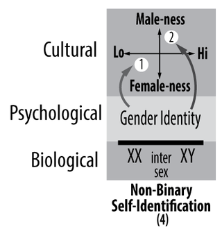 gender self identification