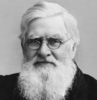 Wallace's Problem | Psychology Today