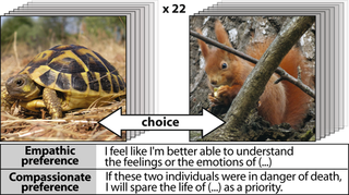 Why Do We Feel Compassion and Empathy For Specific Animals ...