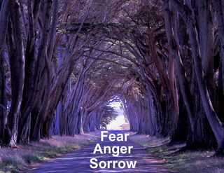 Which of These Three Tough Emotions Are You Experiencing Most ...