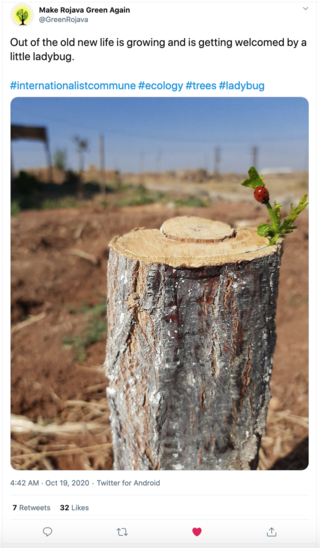 How to Make Earth Green Again | Psychology Today