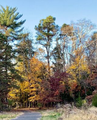 Is It Naïve to Believe in Love? | Psychology Today