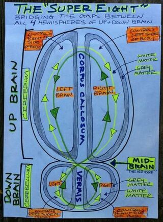 How Cognitive Inflexibility Prevents Fluid Thinking | Psychology Today