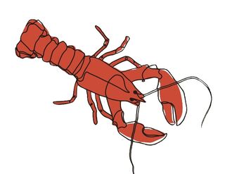 Lessons from Nature: The Power of Biomimicry | Psychology Today