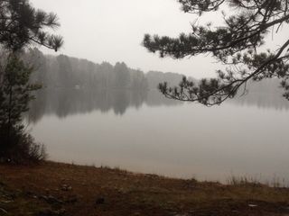 Connecting Earth and Sky: Bringing Nature Inside You | Psychology Today