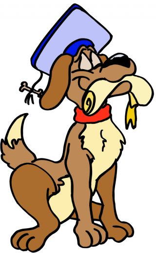 Dog Philosophy 101: What Dogs Teach Us About Life | Psychology Today