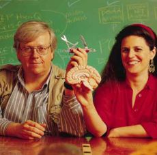 Is the Human Brain Modular? | Psychology Today South Africa