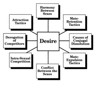 What Explains Different Expectations about Pleasure? | Psychology Today