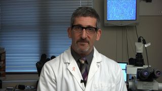 Dr. Neil Theise's Magnificent Time Wheels | Psychology Today