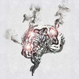 Can Our Anger Be Explained by Global Brain Vulnerabilities ...