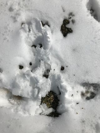 The Good Works of Bad Men | Psychology Today