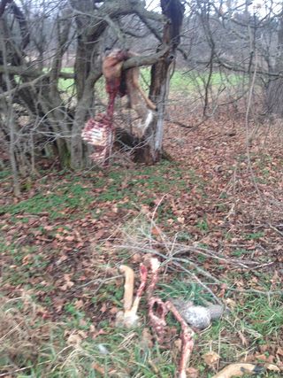 Fear and Voting | Psychology Today