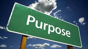What's Your Purpose? | Psychology Today