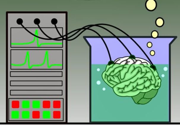 The Costs and Benefits of Cloudy Thinking | Psychology Today