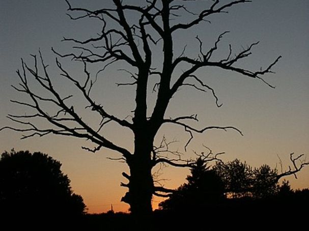 Slighting: The Best Way to Respond to Feeling Slighted | Psychology ...