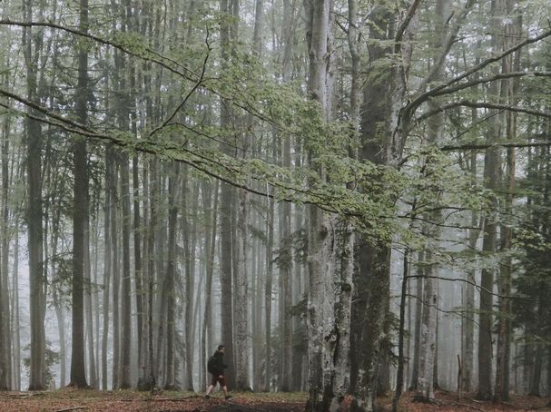 Is Silence Silent? | Psychology Today