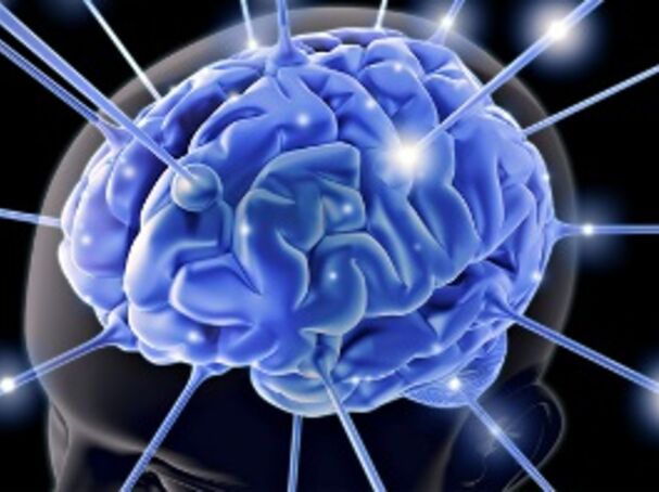 Pathocracy | Psychology Today New Zealand