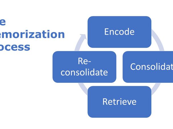 New Discovery on How Learning Changes the Brain | Psychology Today UK