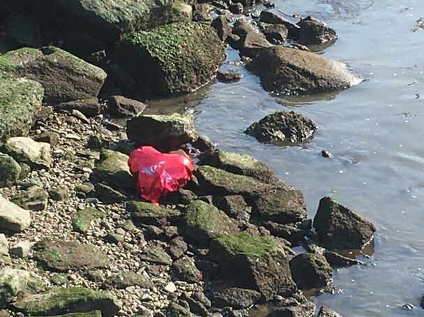 Escape the Guilt Trap | Psychology Today