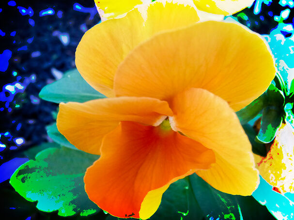 How to Benefit from Psychedelics Without Even Taking Them | Psychology ...