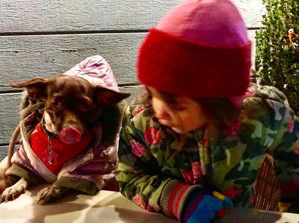 Canine Dominance: Is the Concept of the Alpha Dog Valid? | Psychology Today