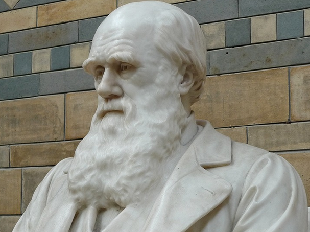 Understanding Evolution Makes You Smarter | Psychology Today