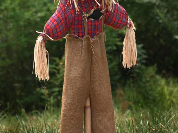 Do Name-Calling and Ignoring Facts Work? | Psychology Today