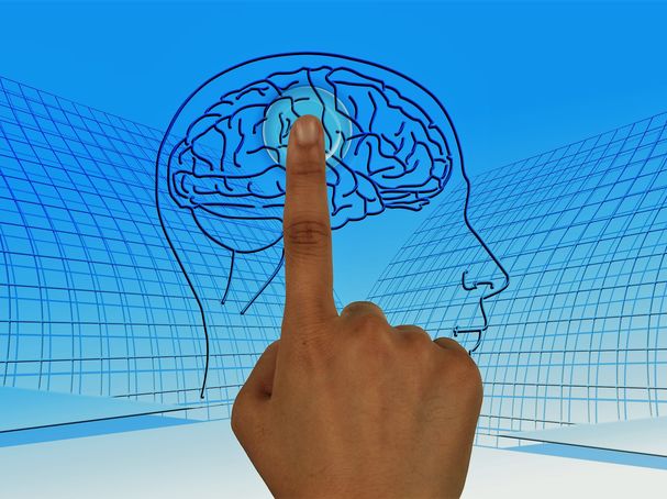 New Discovery on How the Brain Filters Visual Information | Psychology ...