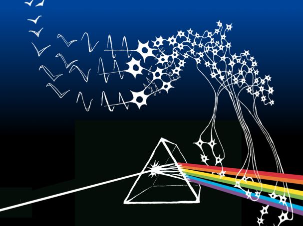 Alpha Brainwaves, Aerobic Activity, and the Creative Process ...