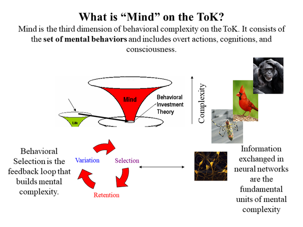 Two Meanings of Mind | Psychology Today