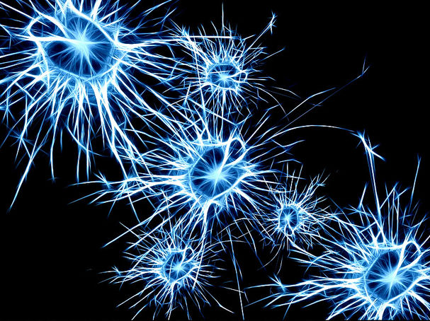 New Discovery on How the Brain Filters Visual Information | Psychology ...