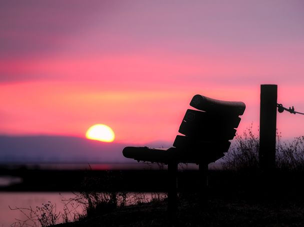 Finding Solace in Solitude: It’s Not Just about Introversion ...