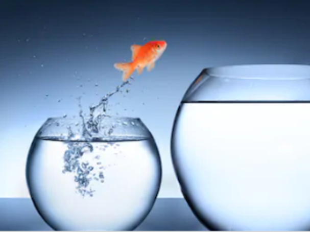 Honesty Versus Openness | Psychology Today