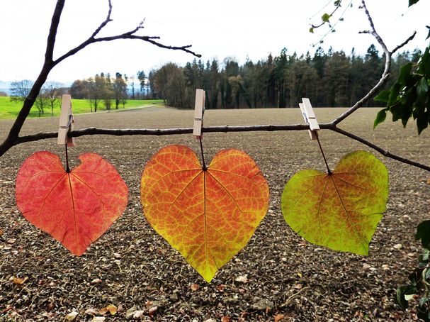 Polyphobia | Psychology Today