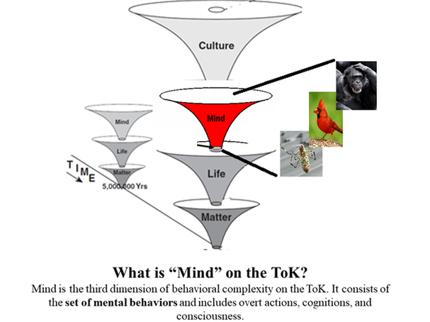 What Are Mental Processes? | Psychology Today