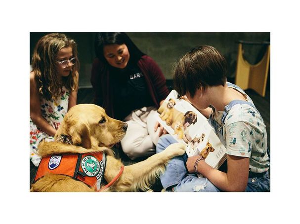 Study: Dogs Can Identify Liars, and They Don't Trust Them | Psychology ...