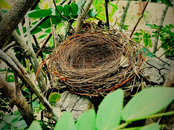 Practicing Kindness While Sheltering in Place | Psychology Today