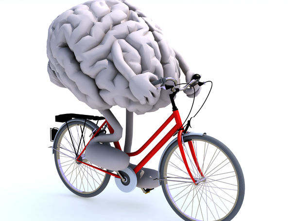 Karate Kata and Cognition | Psychology Today