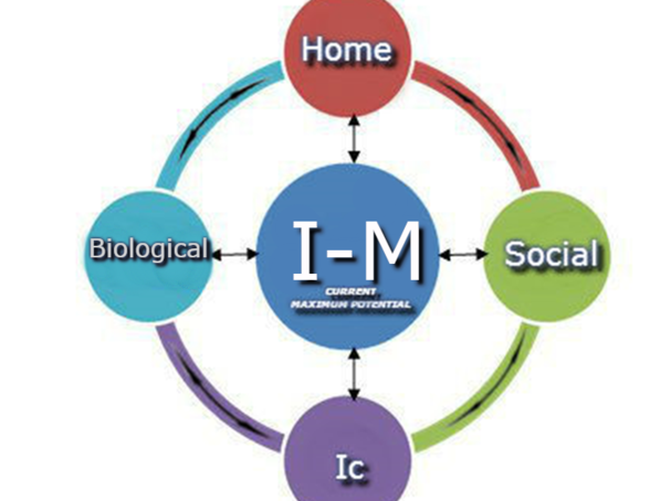 You Control No One but Influence Everyone: the I-M Approach ...