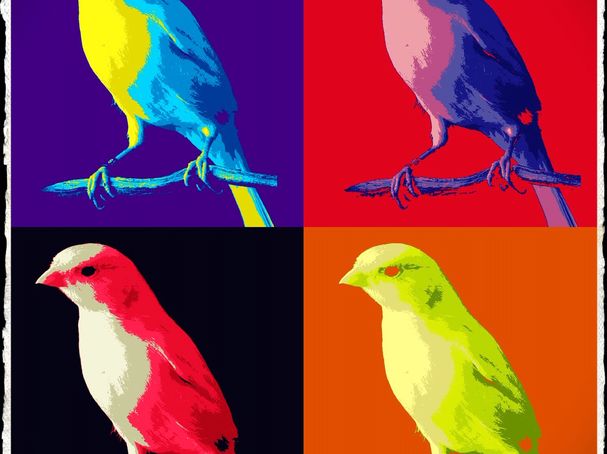 Evolution of the Social Brain During Physical Distancing | Psychology Today