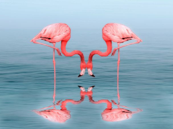 Gesturing Engages All Four Brain Hemispheres | Psychology Today