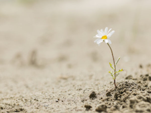 Are You Emotionally Abusing Yourself? | Psychology Today