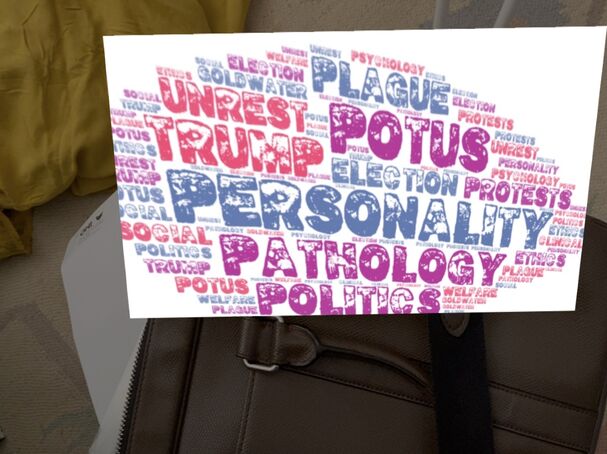 Psychiatry and Society: Q&A with Dr. Bandy Lee | Psychology Today