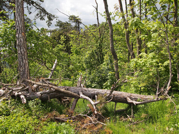 The Costs of Vanity | Psychology Today