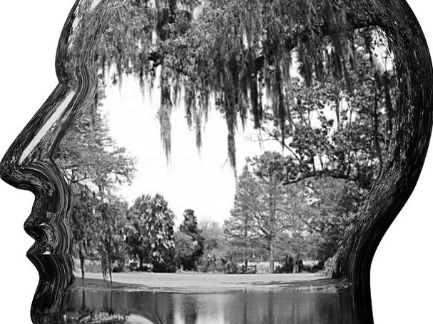 Kernel Launches Neuroscience as a Service (NaaS) | Psychology Today