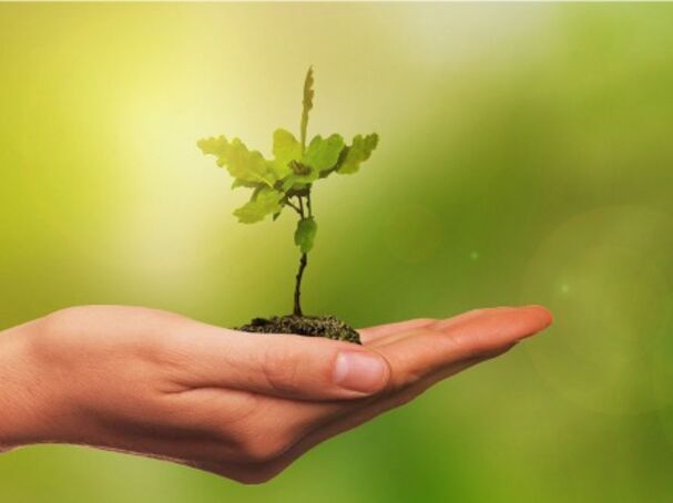 Simple Activities to Enhance Flourishing | Psychology Today