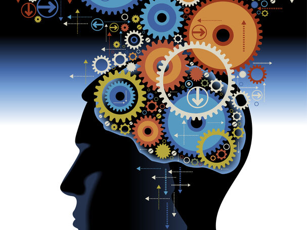 Unused Brain Regions Can Be Repurposed via Neuroplasticity | Psychology ...